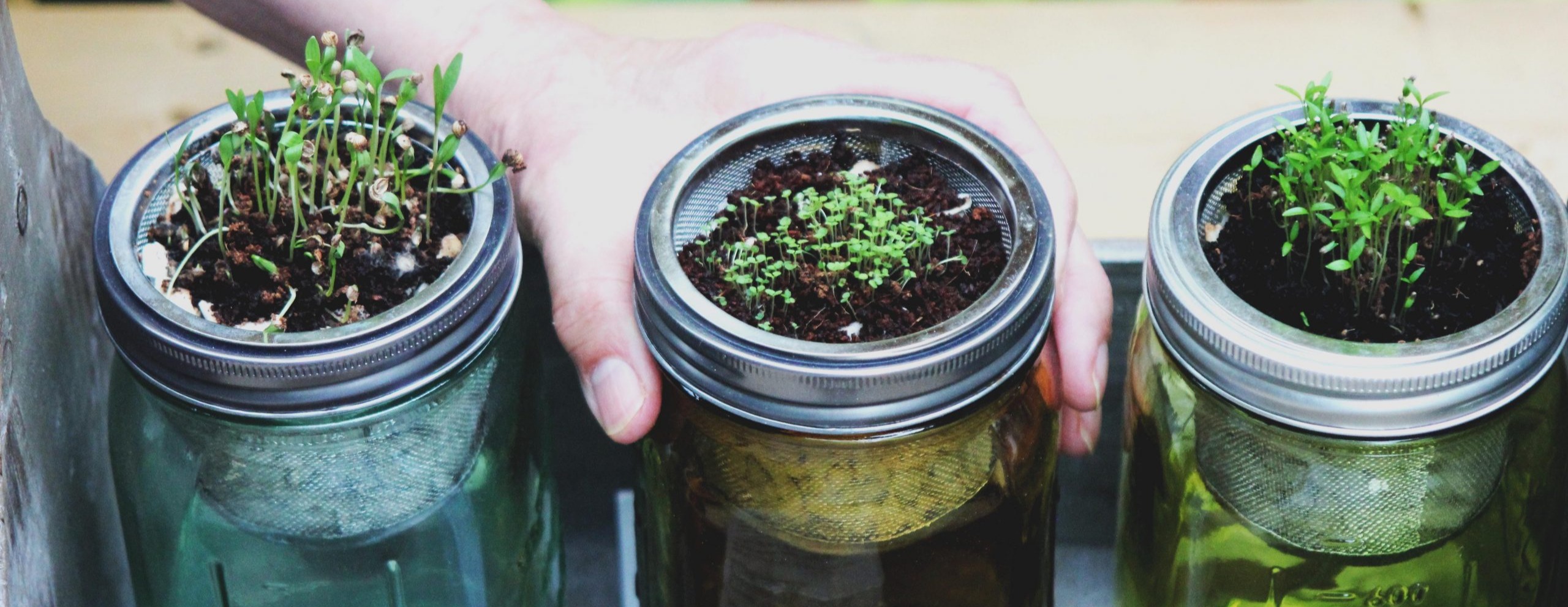 10 Ideas for Going Green in the Classroom - Eduplanet21